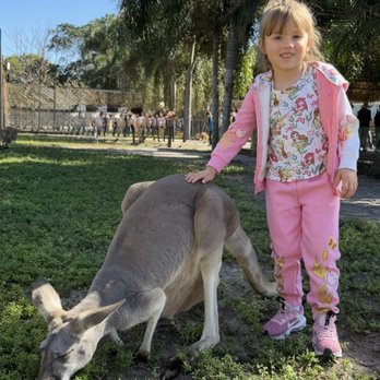 ANIMAL EDVENTURE PARK & SAFARI - Updated October 2025 - 572 Photos ...