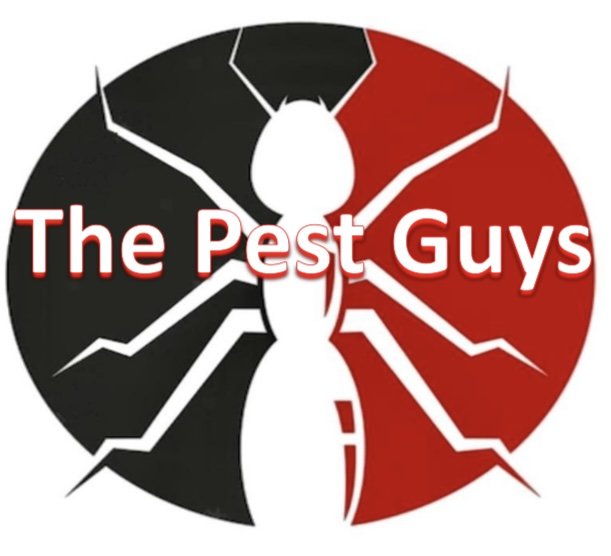 THE PEST GUYS - 15 Photos - Spring, Texas - Pest Control - Phone Number ...
