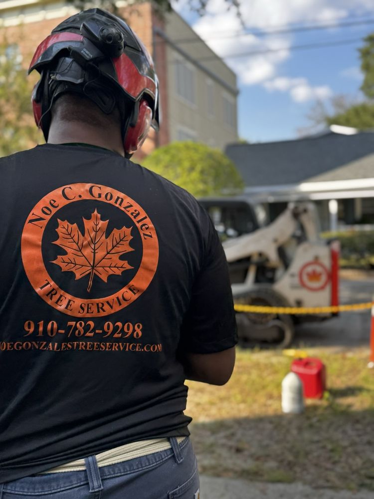 NOE C GONZALEZ TREE SERVICE - Updated December 2025 - 15 Photos ...