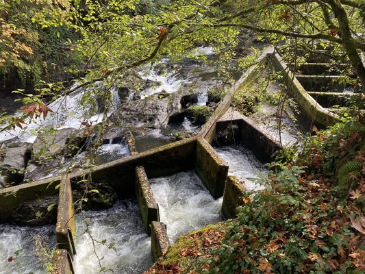 TUMWATER HISTORICAL PARK - Updated September 2024 - 59 Photos & 21 ...