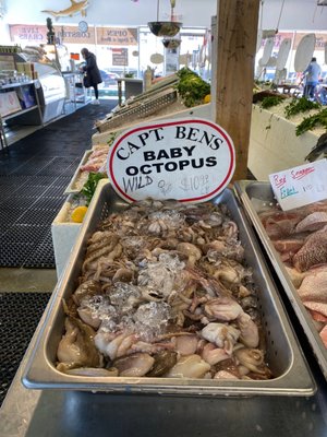CAPTAIN BEN’S FISH MARKET - Updated March 2025 - 54 Photos & 21 Reviews ...