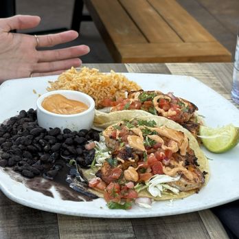 WHIPTAIL GRILL - Updated April 2025 - 762 Photos & 1183 Reviews - 445 ...