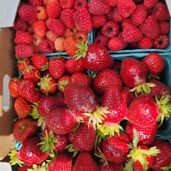 COLUMBIA FARMS U-PICK - TEMP. CLOSED - Updated January 2026 - 120 ...