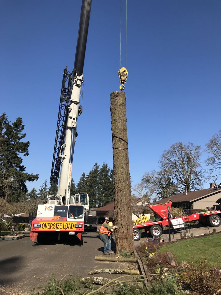 REDMAN’S TREE AND YARD SERVICE - Updated December 2025 - 30 Photos ...