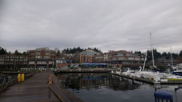 CARILLON POINT - 28 Photos - Hotels - 4100 Carillon Pt, Kirkland, WA ...