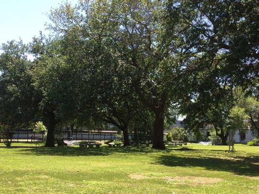 DELGADO COMMUNITY COLLEGE - Updated January 2026 - 21 Photos & 30 ...