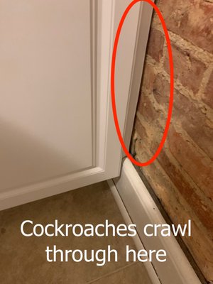 BAY PROPERTY MANAGEMENT GROUP - 97 Photos & 159 Reviews - 1114 St Paul ...