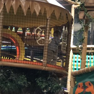 JUNGLE JAVA OF CANTON - 53 Photos & 72 Reviews - 6481 Canton Center Rd ...