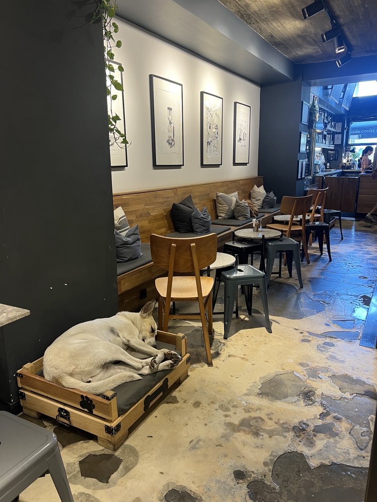 THE HAND COFFEE SHOP - Updated August 2024 - Atatürk Blv. 22, Aydın ...