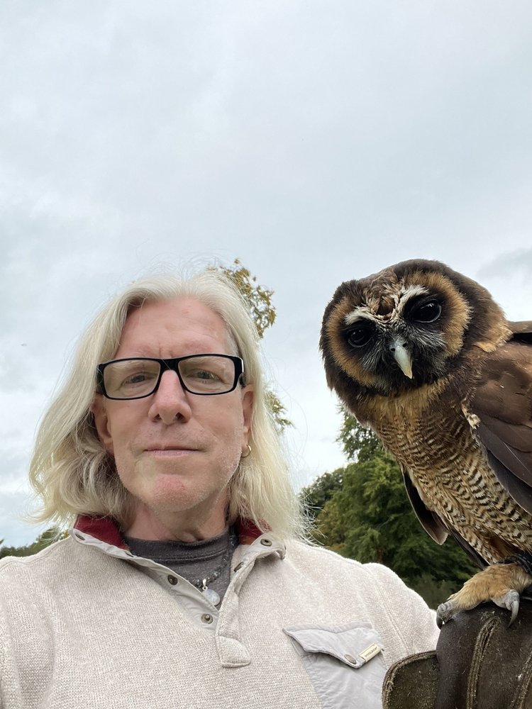 DALHOUSIE FALCONRY - Updated March 2025 - 35 Photos - Unit B704 ...