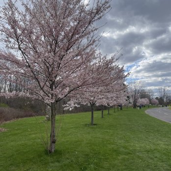 CENTENNIAL PARK - Updated December 2025 - 132 Photos & 18 Reviews - 256 ...