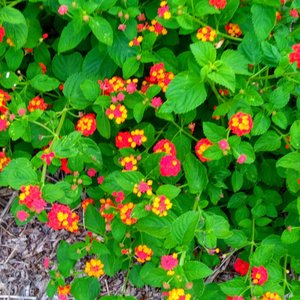 PRATHER PARK - Updated May 2025 - 4700 Drexel Ave, Highland Park, Texas ...