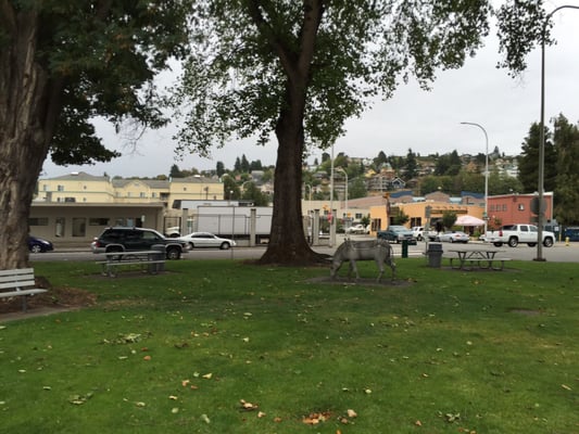 TONKIN PARK - Updated October 2025 - 14 Photos - 399 Williams Ave S ...