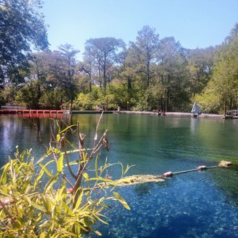 FANNING SPRINGS STATE PARK - Updated December 2025 - 133 Photos & 26 ...