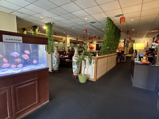 HUNAN DYNASTY 【192 Photos & 264 Reviews】 215 Pennsylvania Ave SE ...