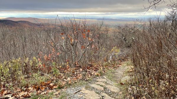 PACK MONADNOCK - Updated October 2024 - 20 Photos - Miller State Park ...