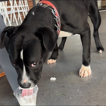 COVINGTON YARD - Updated January 2025 - 156 Photos & 73 Reviews - 401 ...