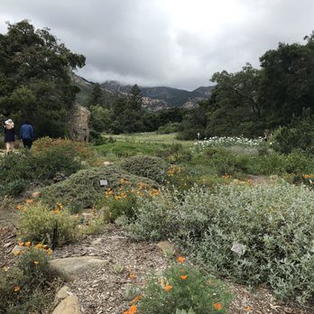 Santa Barbara Botanic Garden - Updated COVID-19 Hours & Services - 739 ...