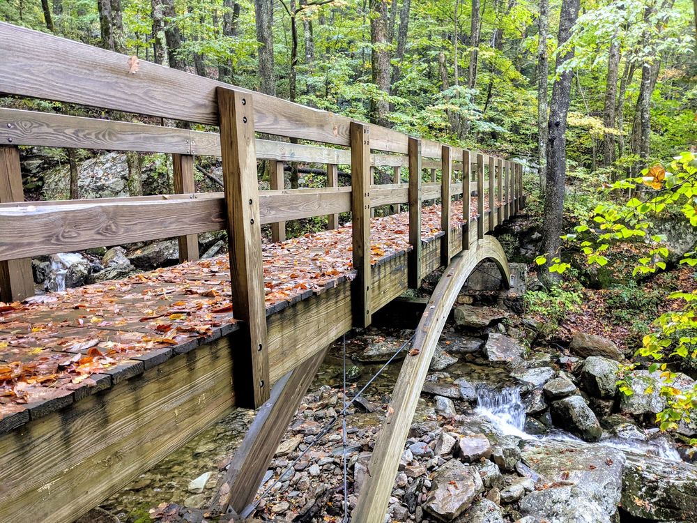 TANAWHA TRAIL - Updated October 2025 - 33 Photos - Blue Ridge Pkwy ...