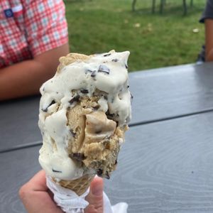 THE MOSQUITO - Updated June 2024 - 22 Photos & 66 Reviews - 1333 ...