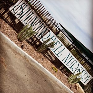 MESQUITE VALLEY GROWERS NURSERY - 392 Photos & 192 Reviews - 8005 E ...