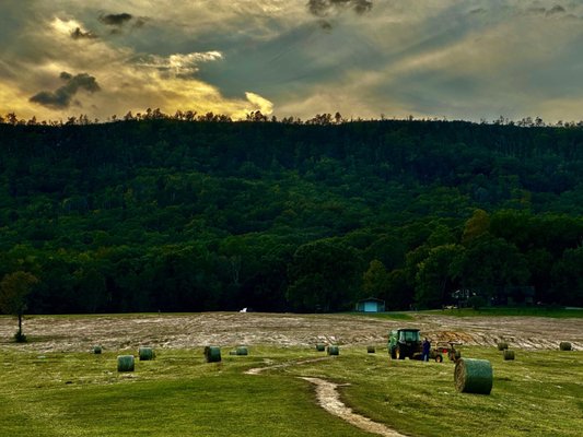 ROCKY FACE RIDGE PARK - Updated December 2025 - 17 Photos - Boynton ...