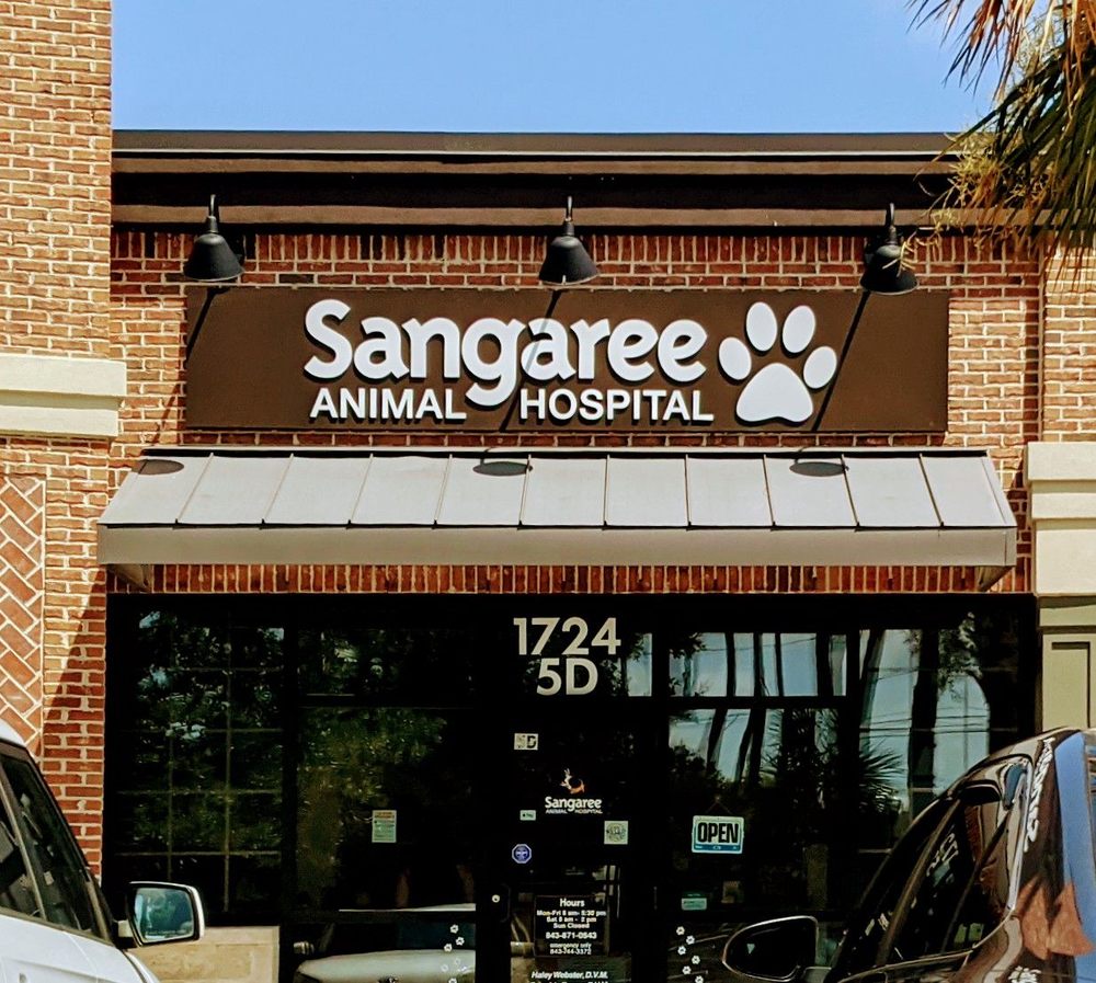 SANGAREE ANIMAL HOSPITAL AT CANE BAY - Updated September 2025 - 39 ...