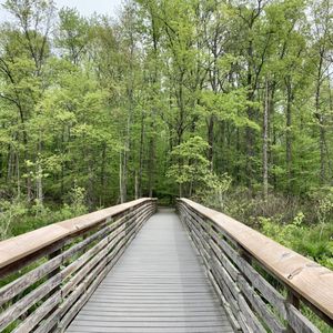 THE DEVIL’S TREE - Updated November 2024 - Mountain Rd, Basking Ridge ...