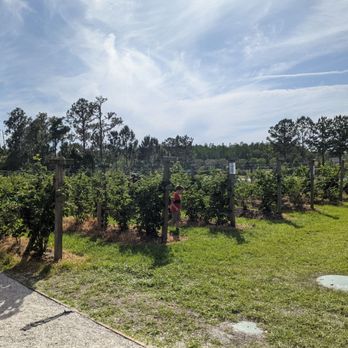 STARKEY MARKET - Updated May 2024 - 321 Photos & 75 Reviews - 3460 ...