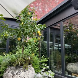 PUSADEE’S GARDEN - Updated May 2025 - 1945 Photos & 855 Reviews - 5319 ...