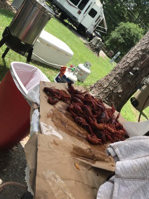 DIP SEAFOOD - MUDBUGS - 34 Photos & 31 Reviews - 1870 Dauphin Island Pkwy, Mobile, AL - Yelp