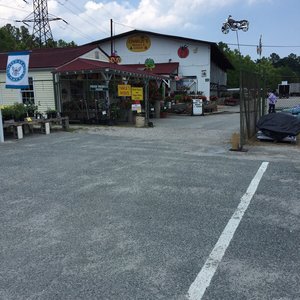 BUSH NECK FARM - 1502 Bush Neck Rd, Williamsburg, Virginia - CSA ...
