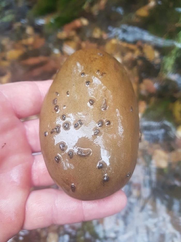 ATLANTIC BUG BUSTERS - Updated March 2025 - 31 Photos - 1444 Freetown ...