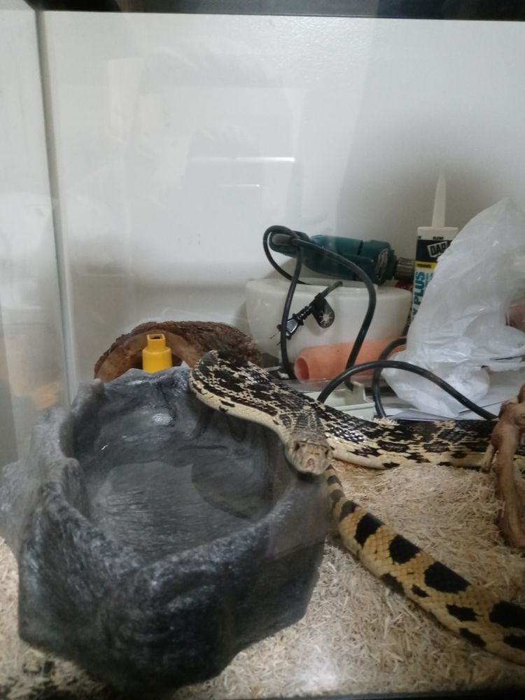 JENNIFER MARRERO - Bronx, New York - Home Cleaning - Phone Number - Yelp