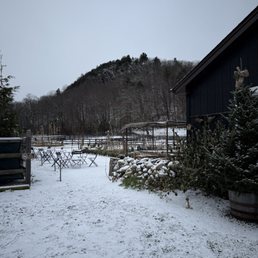 JULIEN’S FARM STORE - Updated January 2026 - 351 Photos & 88 Reviews ...