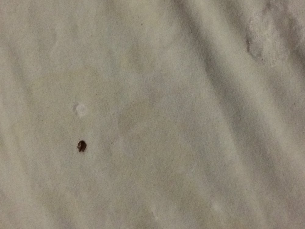 DELUXE INN - Updated December 2024 - 3702 Ogeechee Rd, Savannah ...