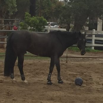 FIRST FIELD FARM - Updated August 2025 - 20 Photos & 16 Reviews - 18299 ...