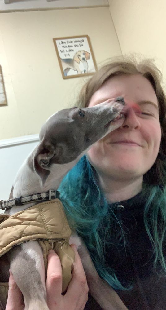 LACEY’S PET SITTING - Pleasanton, California - Pet Sitting - Yelp