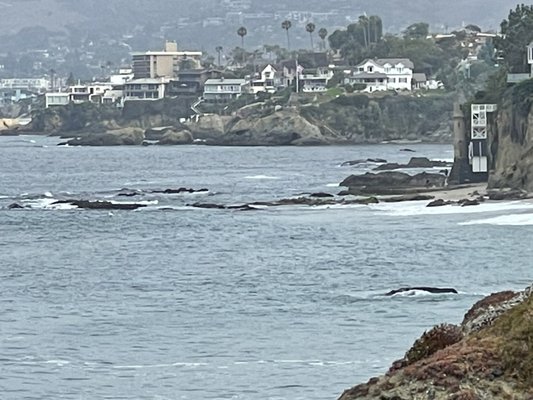 GOFF ISLAND COVE - Updated December 2025 - 28 Photos - Laguna Beach ...