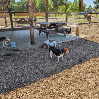 SHERWOOD DOG PARK - Updated December 2025 - 69 Photos & 34 Reviews ...