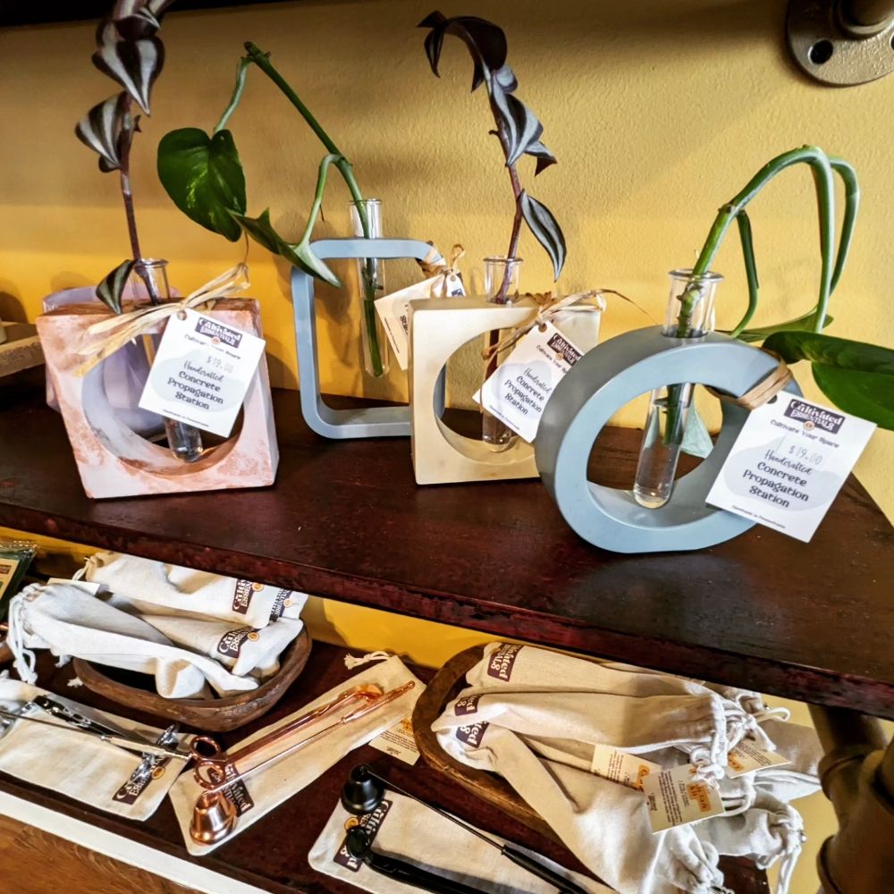 CULTIVATED ESSENTIALS - Updated July 2025 - 13 Photos - 28 Frederick St ...