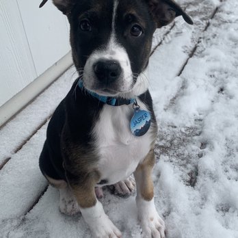 MAMCO - Updated January 2026 - 68 Photos & 18 Reviews - Englewood ...