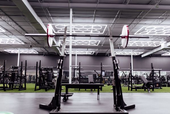 TEXAS FLEX FITNESS - Updated January 2026 - Request Information - 13 ...