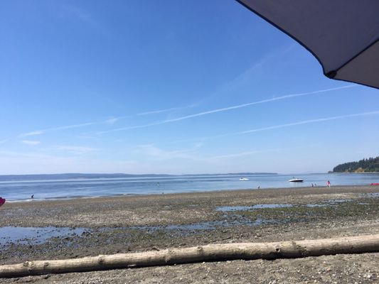 Kayak Point County Park - 68 Photos & 35 Reviews - Parks - 15610 Marine ...