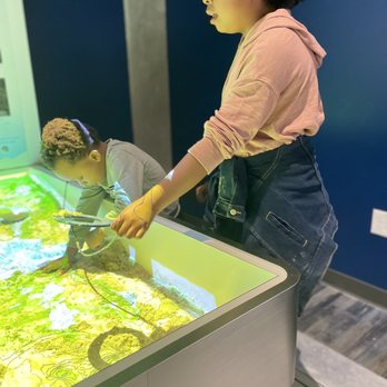 SMUD MUSEUM OF SCIENCE AND CURIOSITY - 334 Photos & 157 Reviews - 400 ...