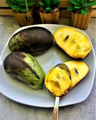 Rogers, KY Map & Directions - MapQuest