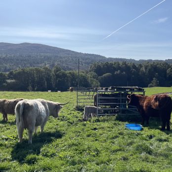 REDBURN CAFE - Updated December 2025 - 14 Photos & 14 Reviews ...