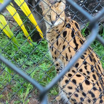 PANTHER RIDGE CONSERVATION CENTER - Updated May 2024 - 300 Photos & 116 ...