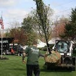 AVERY TREE SERVICE - 11 Photos & 13 Reviews - 1076 Bay Ave, Toms River ...
