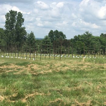 ST CHARLES GOLF COURSE - Updated July 2025 - 12 Photos - 1920 Gladiola ...